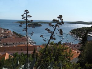 The fine art of making lace from agave leaves | Go Hvar