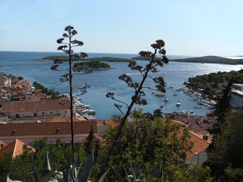 The fine art of making lace from agave leaves | Go Hvar